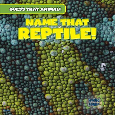 Name That Reptile! - 예스24