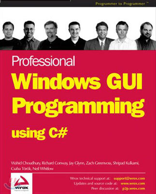 Professional Windows GUI Programming Using C# - 예스24