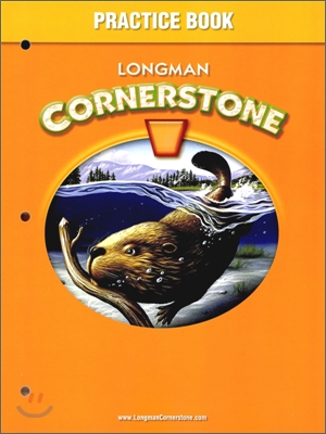 Longman Cornerstone Level B : Practice Book - 예스24