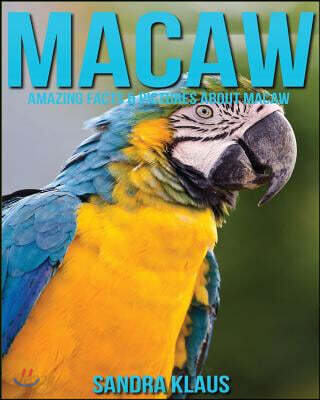Childrens Book: Amazing Facts & Pictures about Macaw - 예스24