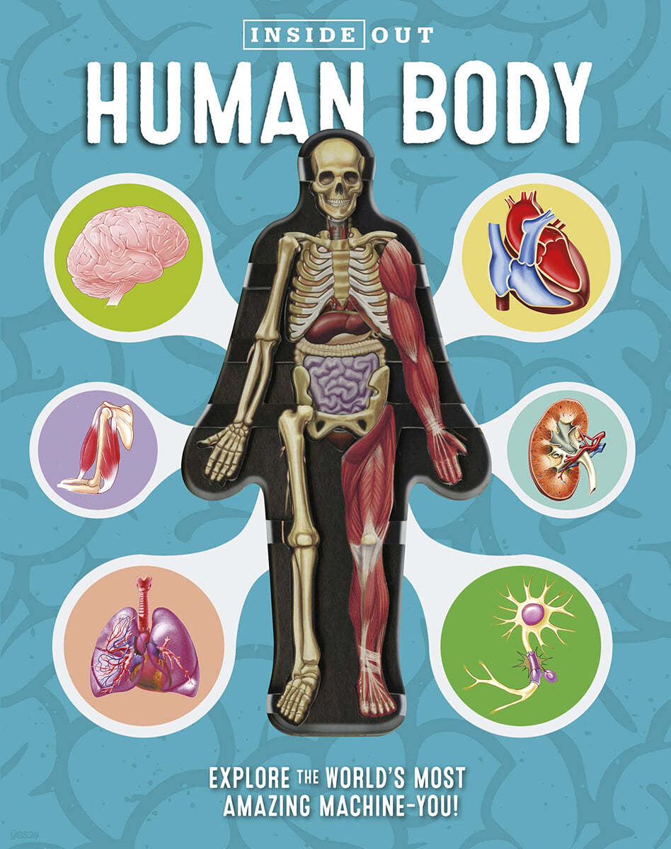 Inside Out Human Body: Explore the World's Most Amazing Machine-You! - 예스24