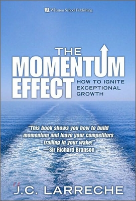 The Momentum Effect - 예스24