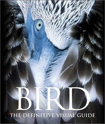 Bird : The Definitive Visual Guide - 예스24
