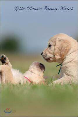 Golden Retriever February Notebook Golden Retriever Record, Log, Diary ...