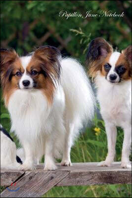 Papillon June Notebook Papillon Record, Log, Diary, Special Memories ...