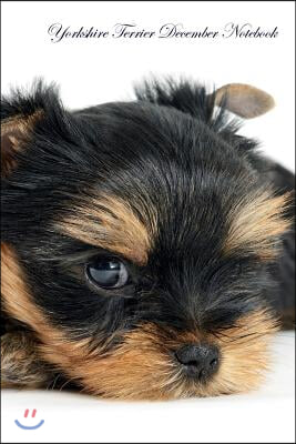 Yorkshire Terrier December Notebook Yorkshire Terrier Record, Log ...