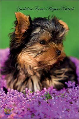 Yorkshire Terrier August Notebook Yorkshire Terrier Record, Log, Diary ...