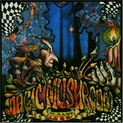 Magic Mushroom Band - Rehash (CD) - 예스24