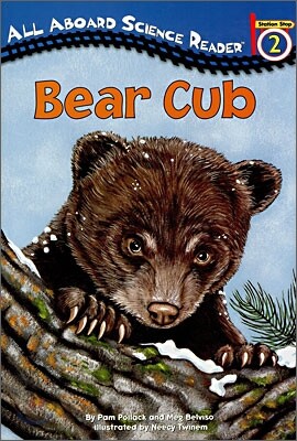 All Aboard Reading Level 2 : Bear Cub | Pam Pollack | Grosset & Dunlap ...