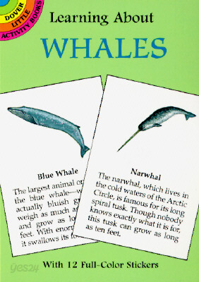 Learning about Whales [With Whales] | Sy Barlowe | Dover Publications ...