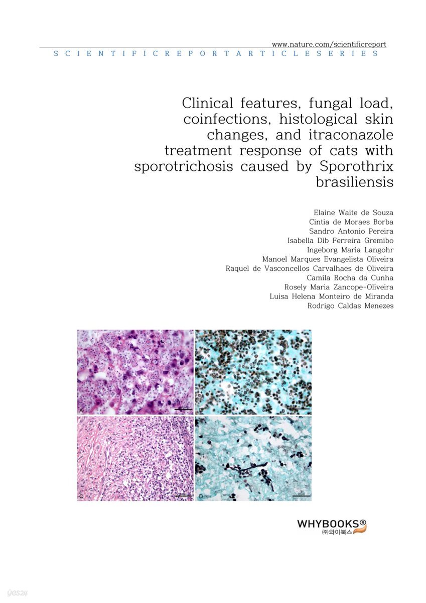[전자책] Clinical features, fungal load, coinfections, histological skin ...