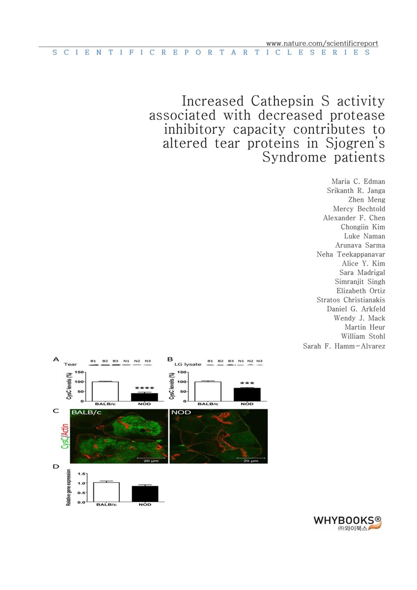 [전자책] Increased Cathepsin S activity associated with decreased protease ...