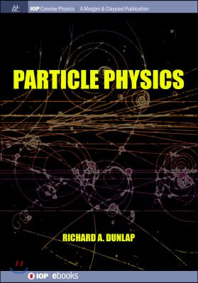 Particle Physics - YES24