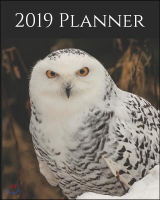 2019 Planner: Weekly Planner & Monthly Calendar - Desk Diary, Journal ...