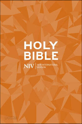 NIV Popular Paperback Bible - 예스24