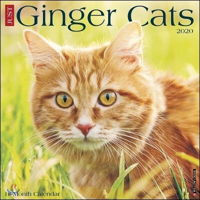Ginger Cats 2020 Calendar - 예스24