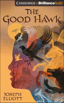 The Good Hawk - 예스24