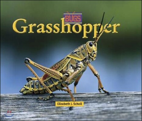 Grasshopper - 예스24