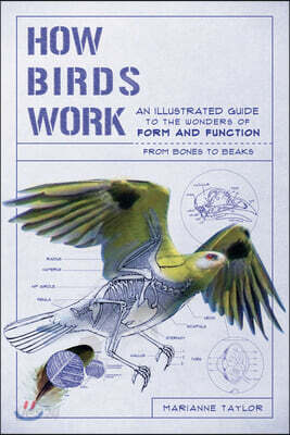 How Birds Work: An Illustrated Guide to the Wonders of Form and ...