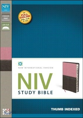 NIV Study Bible - 예스24