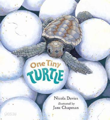 One Tiny Turtle - 예스24