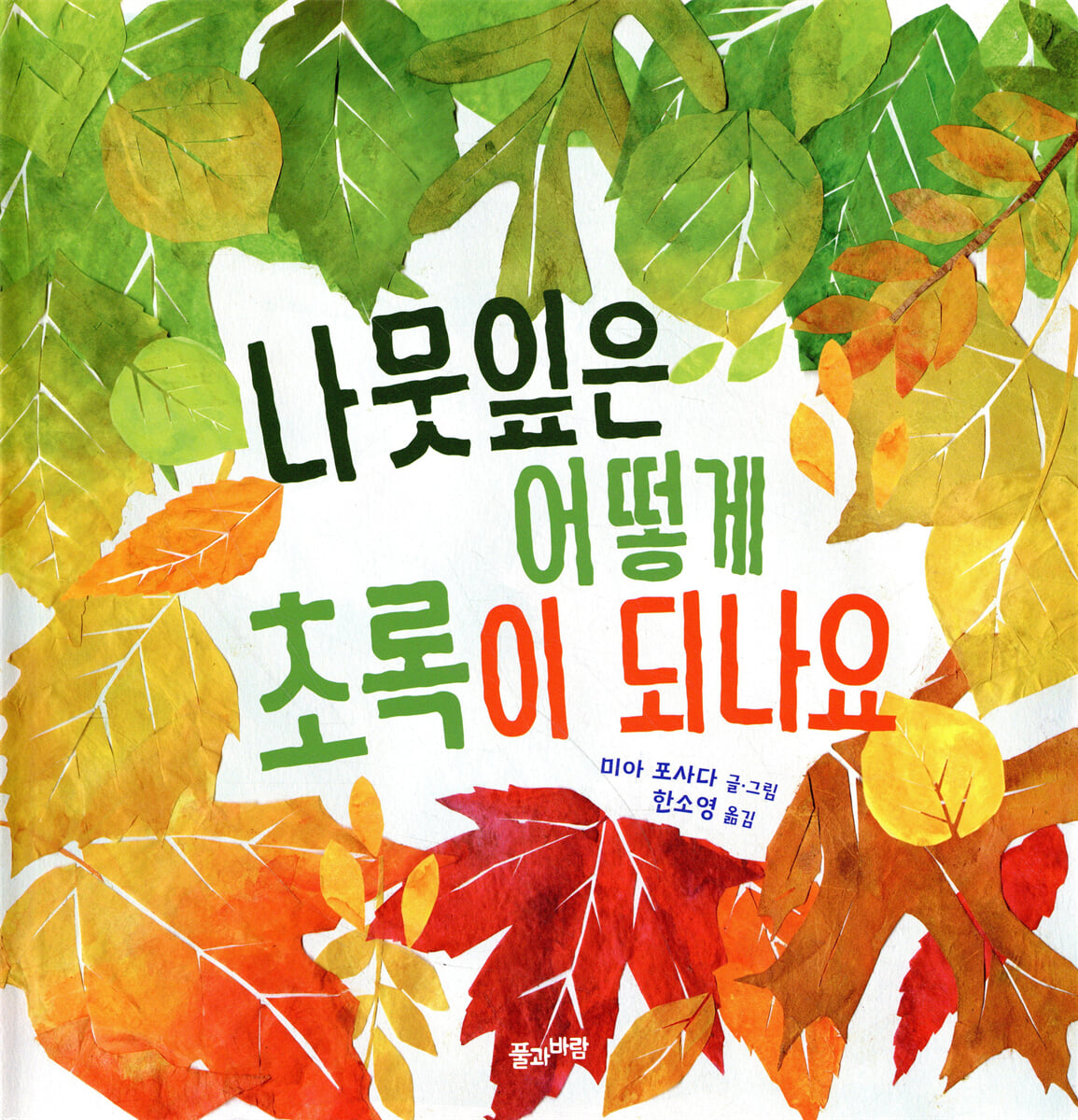 나뭇잎은 어떻게 초록이 되나요 - YES24