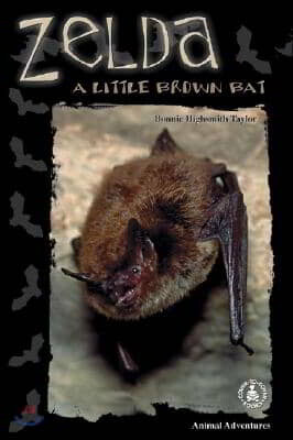 Zelda: A Little Brown Bat - 예스24