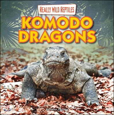 Komodo Dragons - 예스24
