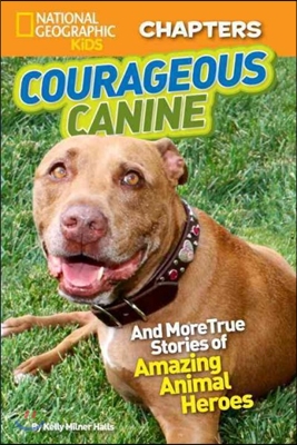 Courageous Canine!: And More True Stories of Amazing Animal Heroes - 예스24