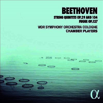 베토벤: 현악 오중주 작품집 (Beethoven: String Quintets)(CD) - WDR Symphony ...
