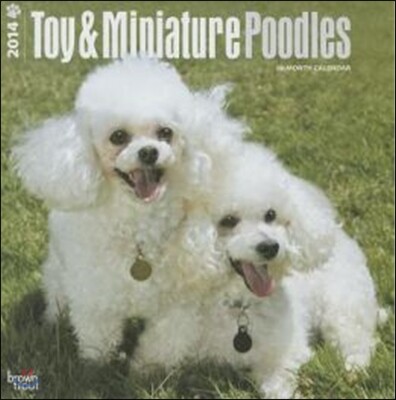 Toy and Miniature Poodles 2014 Calendar - 예스24