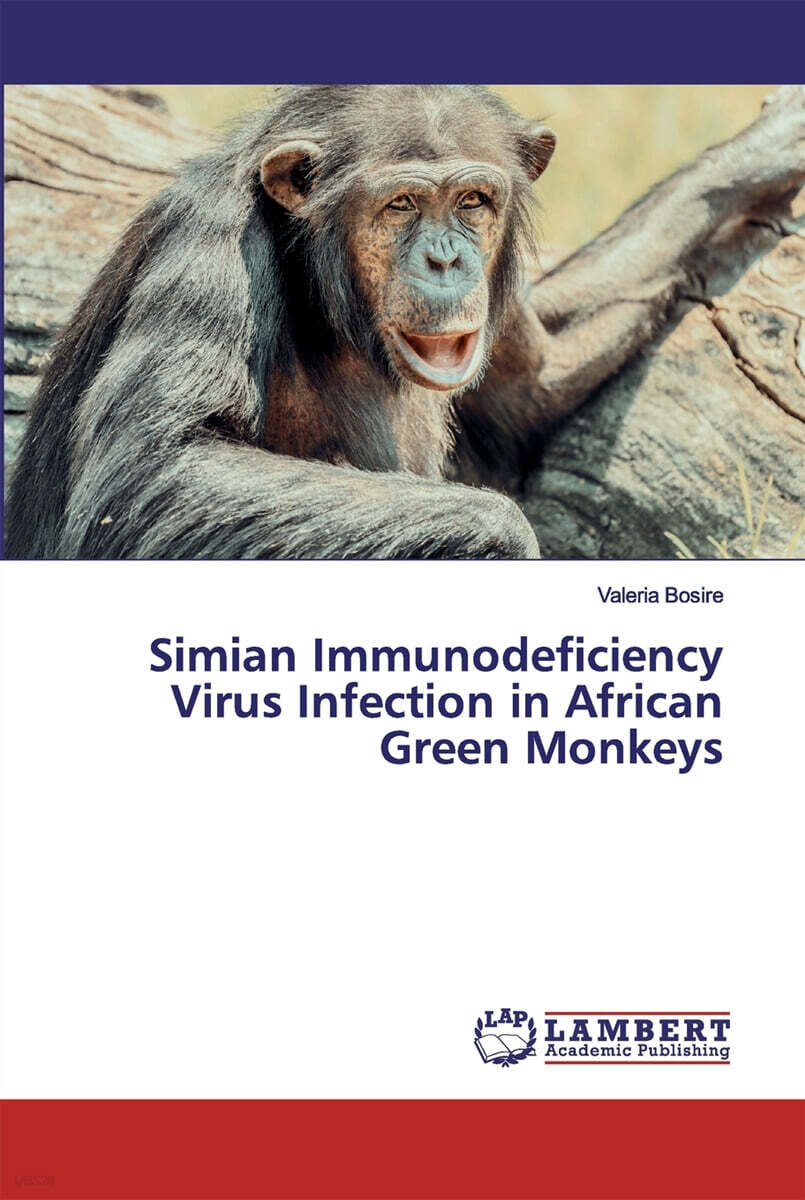 Simian Immunodeficiency Virus Infection in African Green Monkeys - 예스24