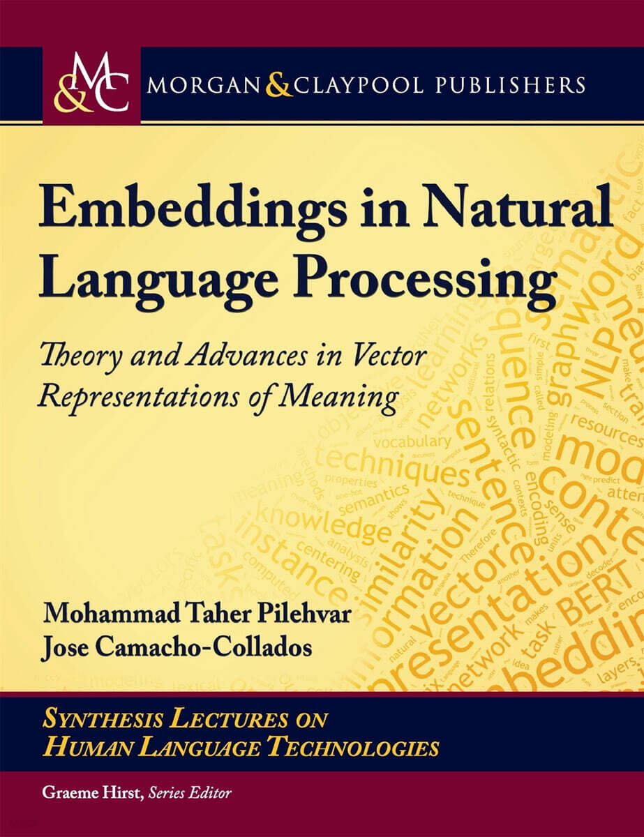 Embeddings in Natural Language Processing: Theory and Advances in ...