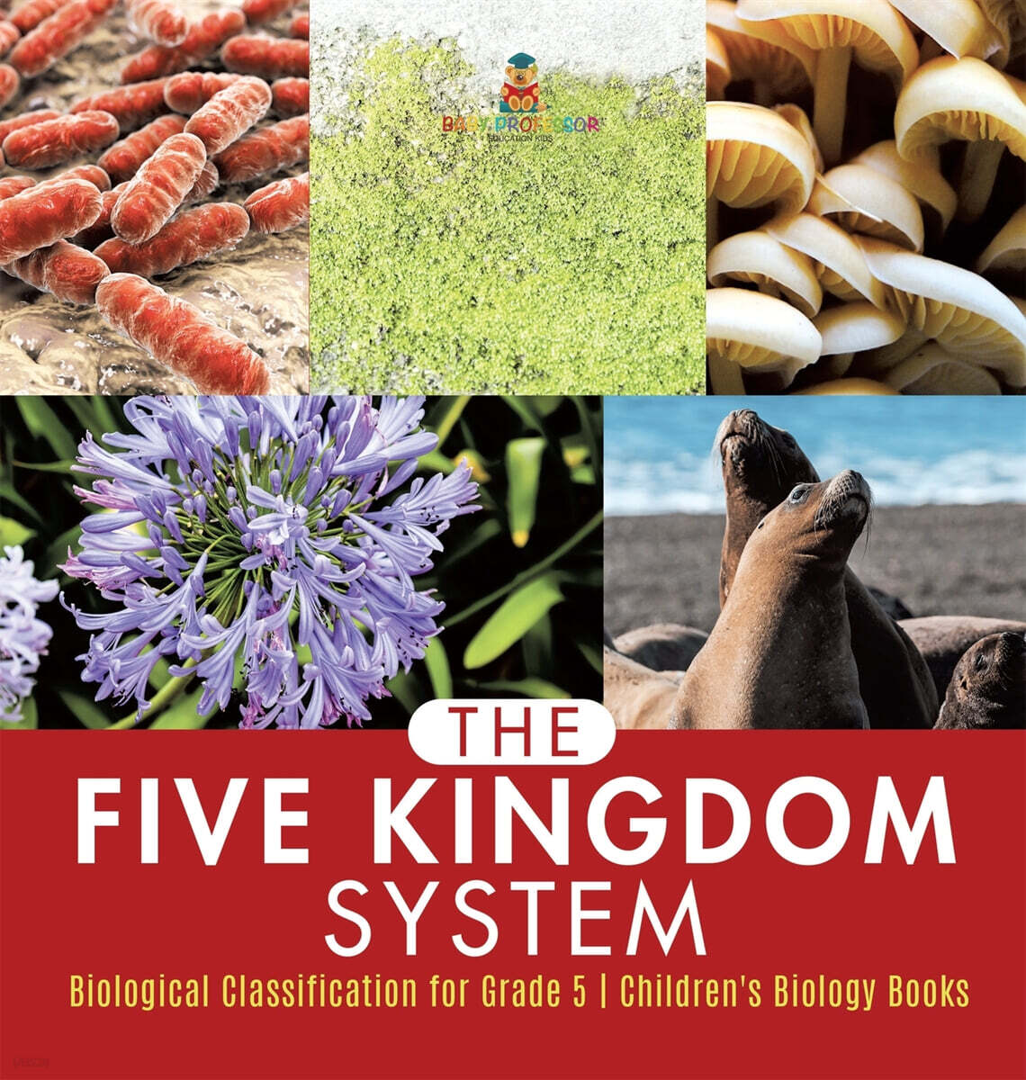 The Five Kingdom System - Biological Classification for Grade 5 ...