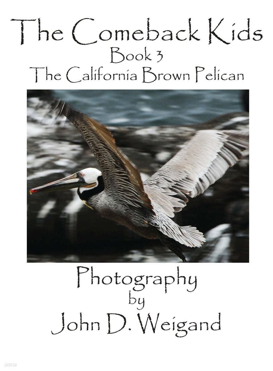 The Comeback Kids, Book 3, the California Brown Pelican - 예스24