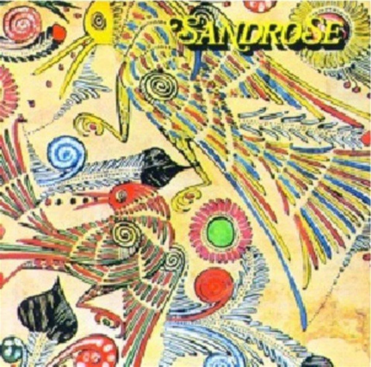 Sandrose (산드로즈) - Sandrose - 예스24