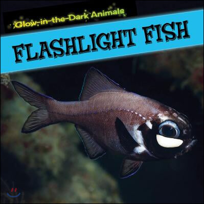 Flashlight Fish - 예스24