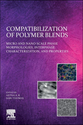 Compatibilization of Polymer Blends: Micro and Nano Scale Phase ...
