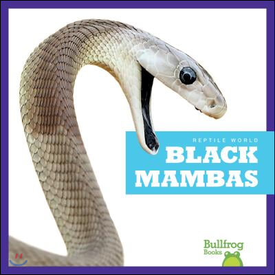 Black Mambas - 예스24