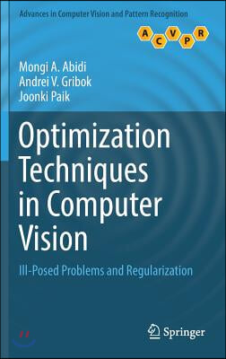 Optimization Techniques in Computer Vision: Ill-Posed Problems and ...