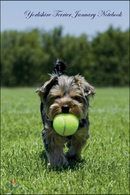 Yorkshire Terrier January Notebook Yorkshire Terrier Record, Log, Diary ...