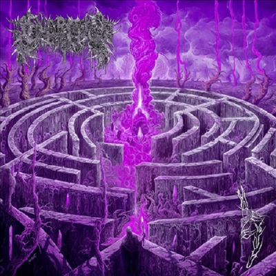 Civerous - Maze Envy (Ltd)(Purple/Magenta Colored LP) - 예스24
