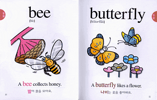 English First Dictionary - 예스24