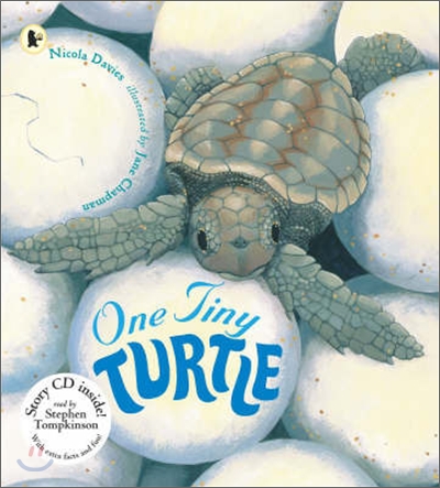 [중고샵] One Tiny Turtle - 예스24
