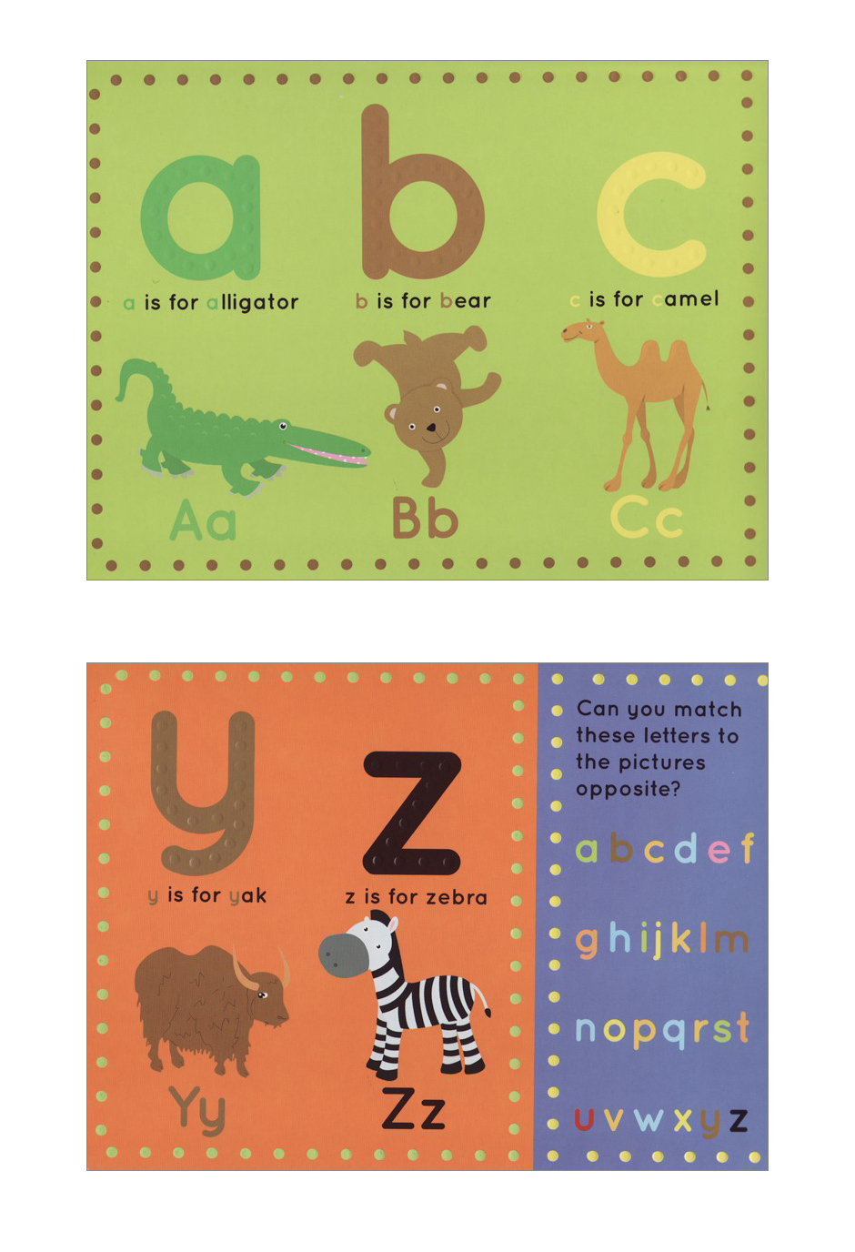 Wild Animal Alphabet - 예스24