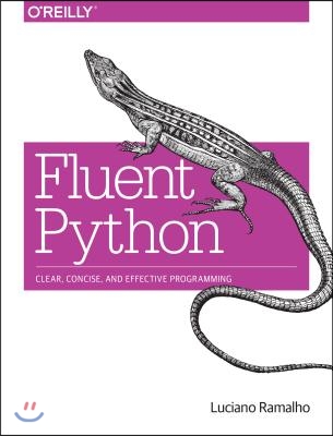 Fluent Python: Clear, Concise, and Effective Programming - 예스24