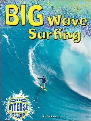 Big Wave Surfing - 예스24
