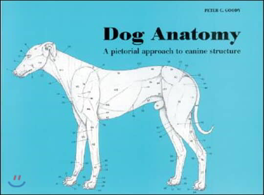 Dog Anatomy: A Pictoral Approach to Canine Structure - YES24