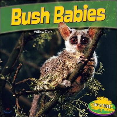 Bush Babies - 예스24