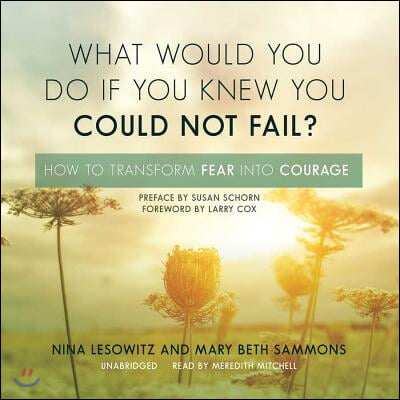 What Would You Do If You Knew You Could Not Fail? Lib/E: How to ...